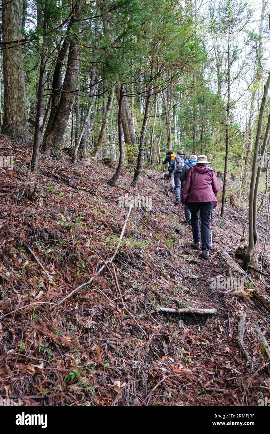 Japan, Kyushu. Hikers On the Trail from Hita Stock Photo - Alamy