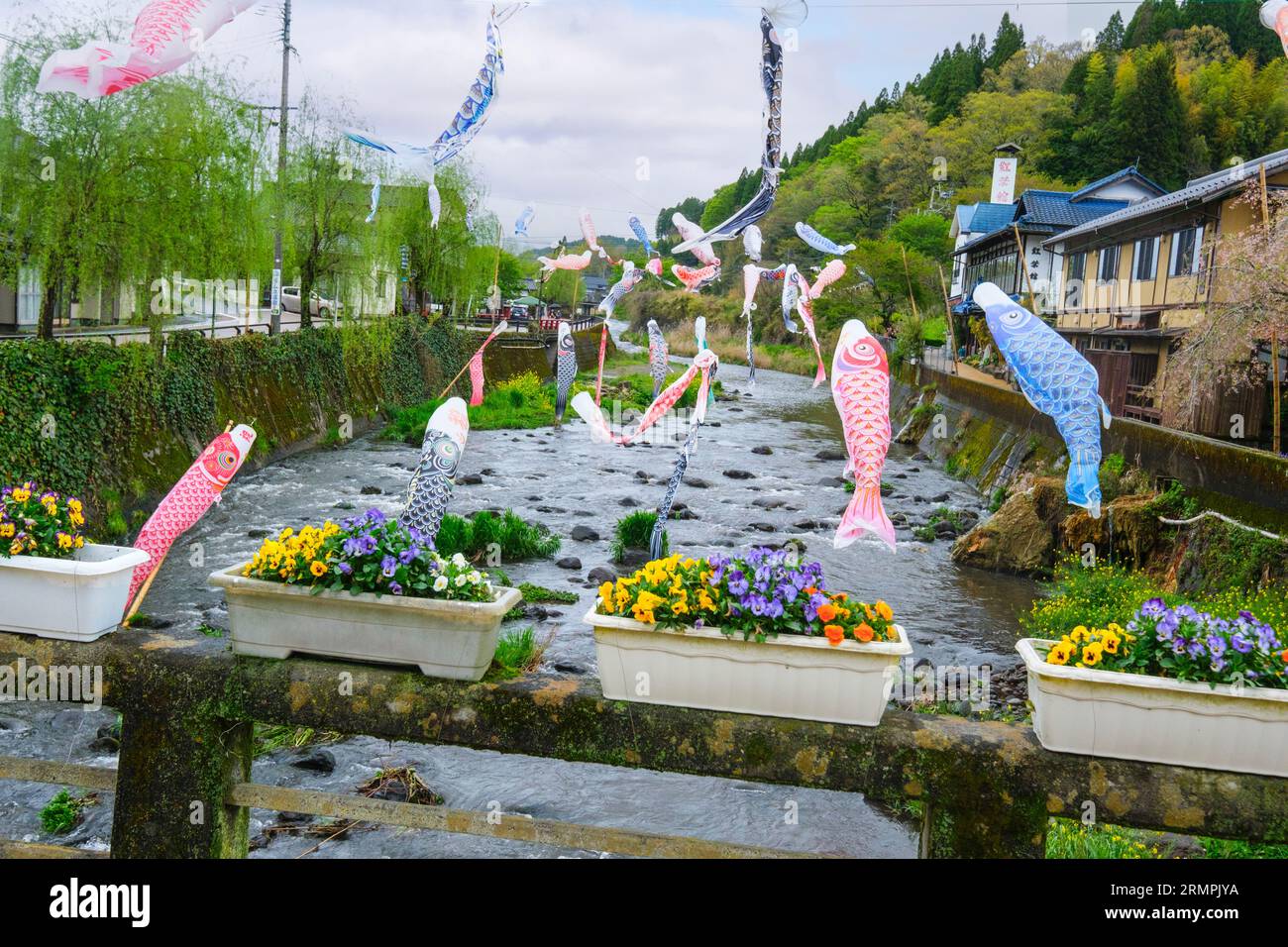 Japan, Kyushu, Nagayu Onsen. Coi Banners Celebrate Boys Day, Honoring ...