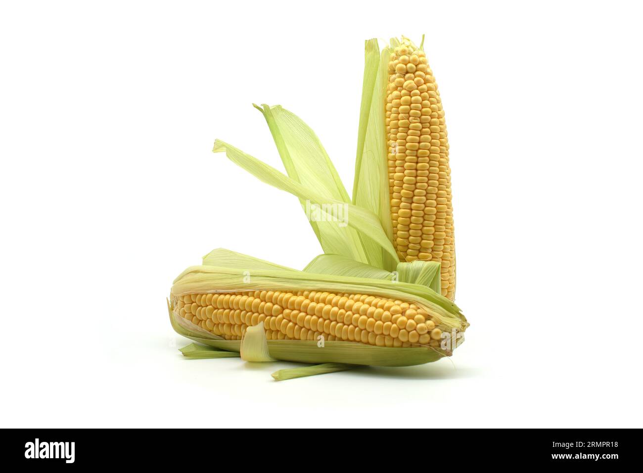 Fresh raw maize or corn on the cob with leaves isolated on white ...