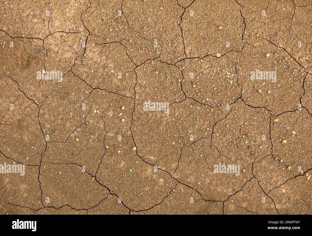 Fissured soil hi-res stock photography and images - Alamy