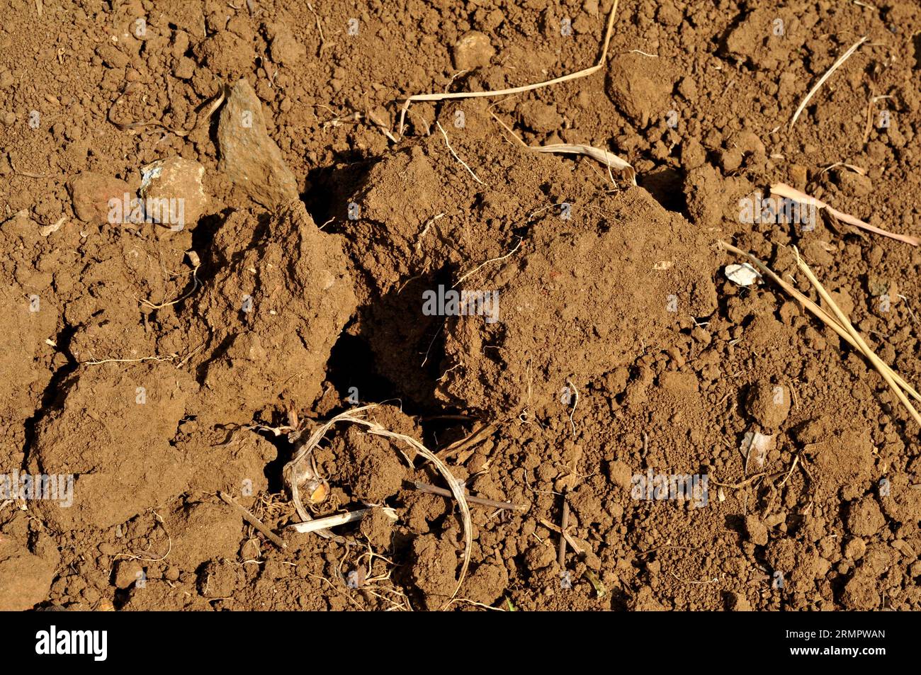 Dry land due to long drought Stock Photo - Alamy