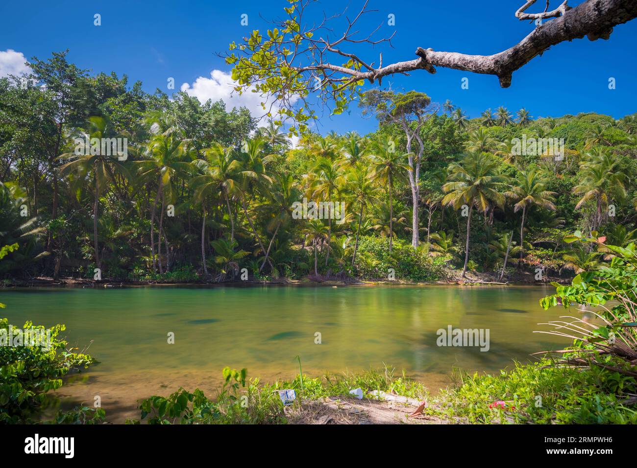 River Mouth at Yara Bay, Trinidad Stock Photo - Alamy