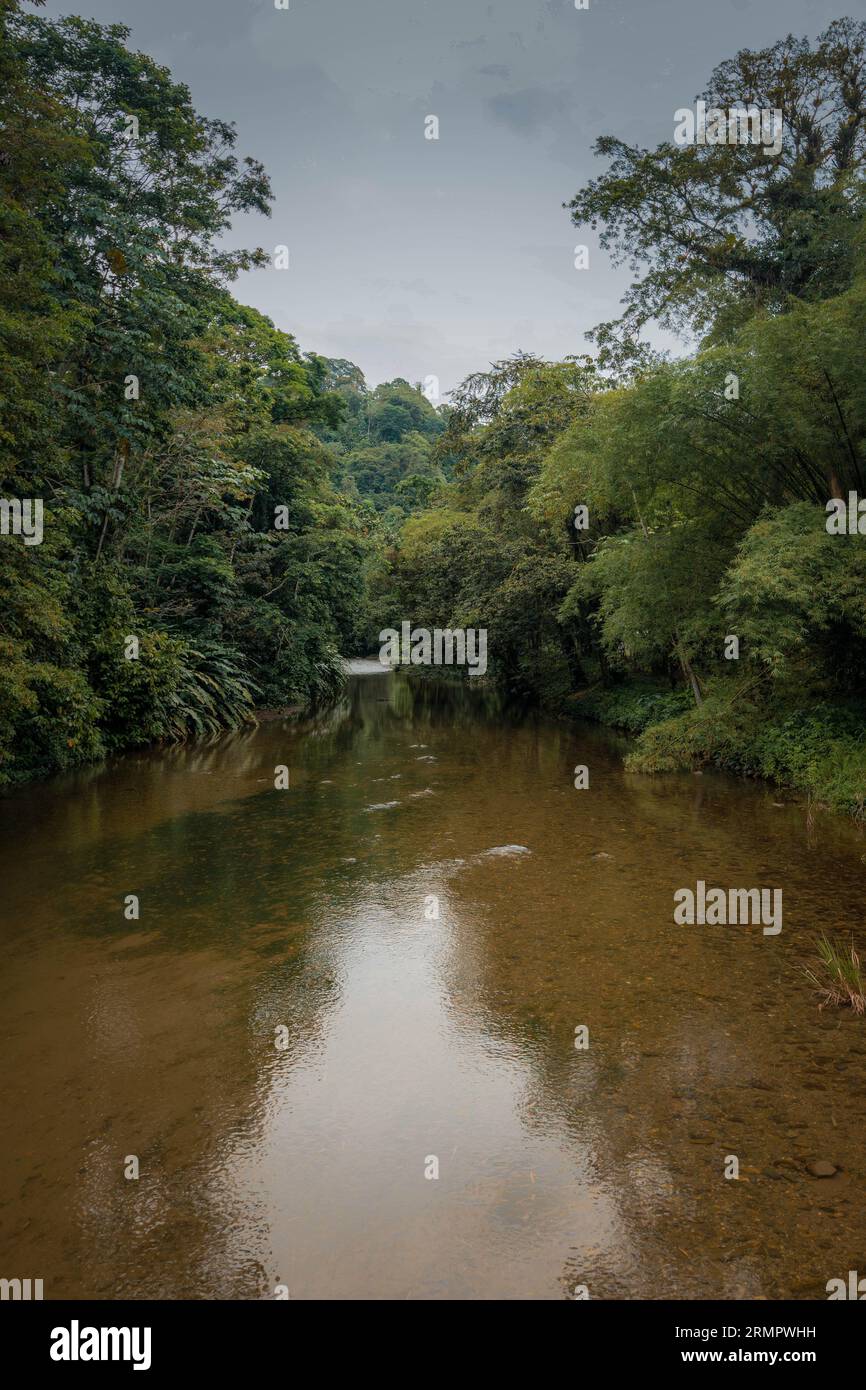 Trinidad and tobago river hi-res stock photography and images - Alamy