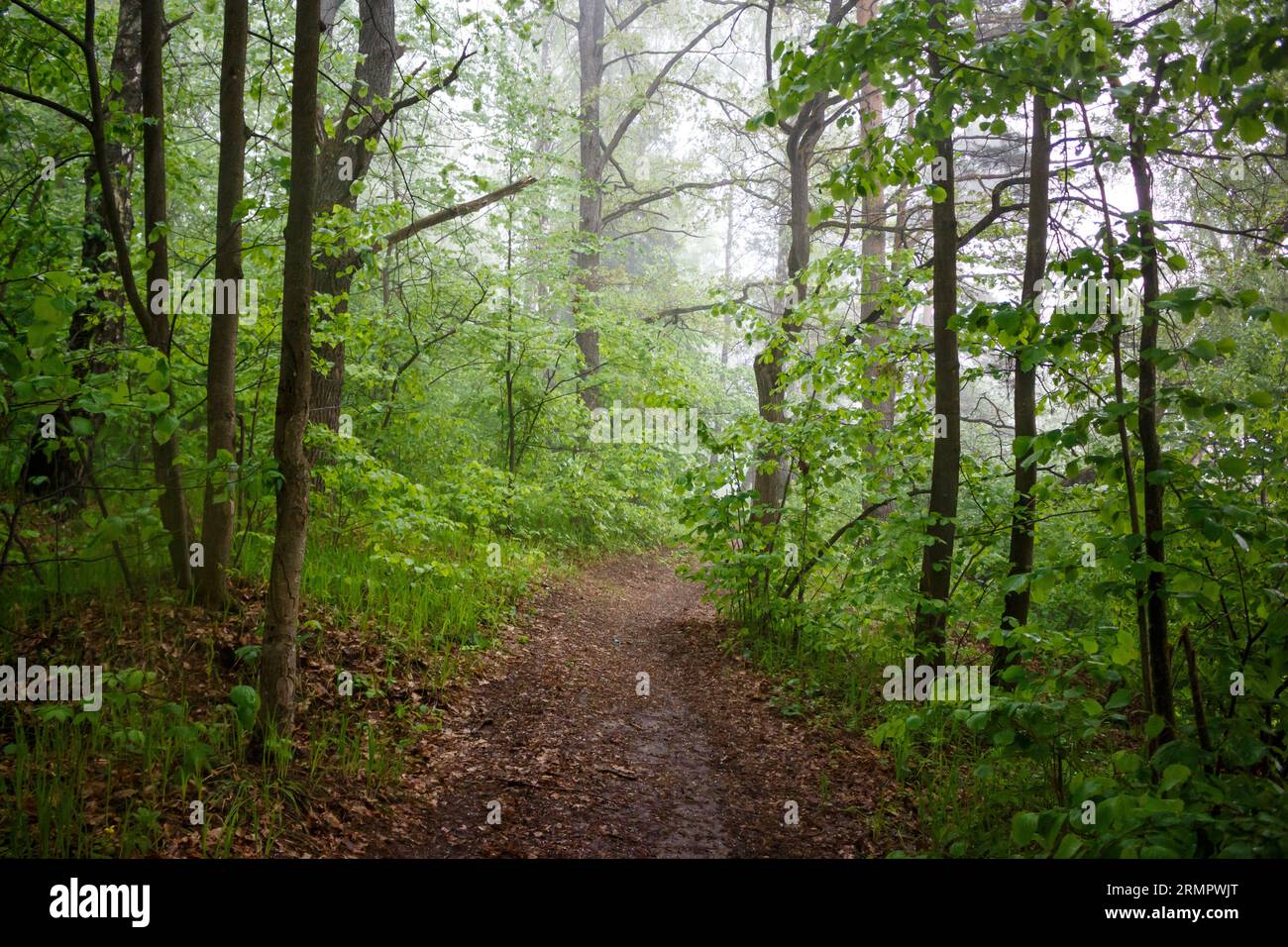 Weather in nature hi-res stock photography and images - Alamy