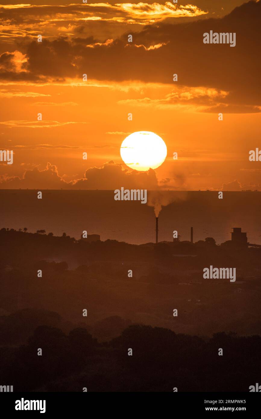 Trinidad tobago golden hi-res stock photography and images - Alamy