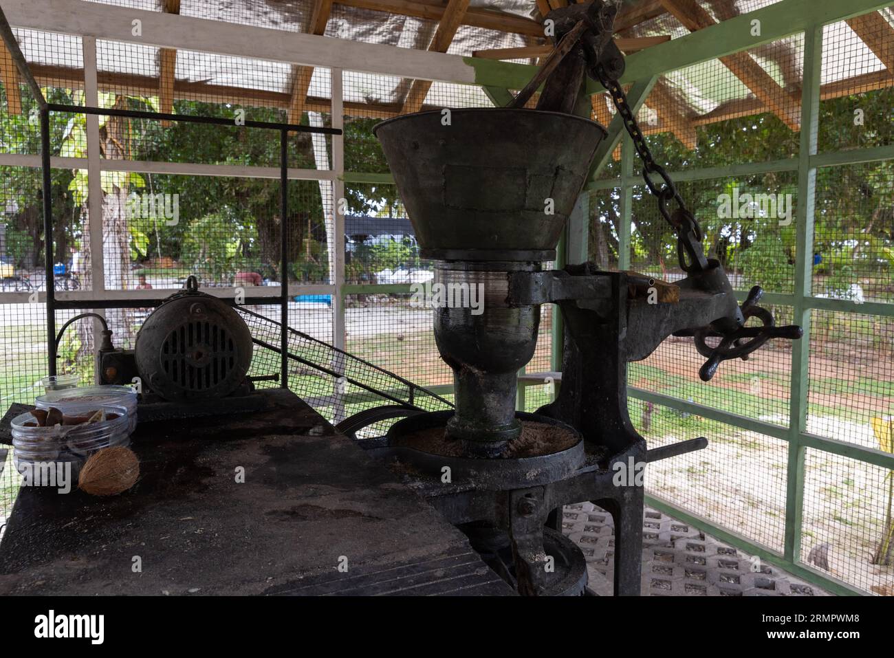 Mechanized system for production cold pressed coconut oil, close up ...