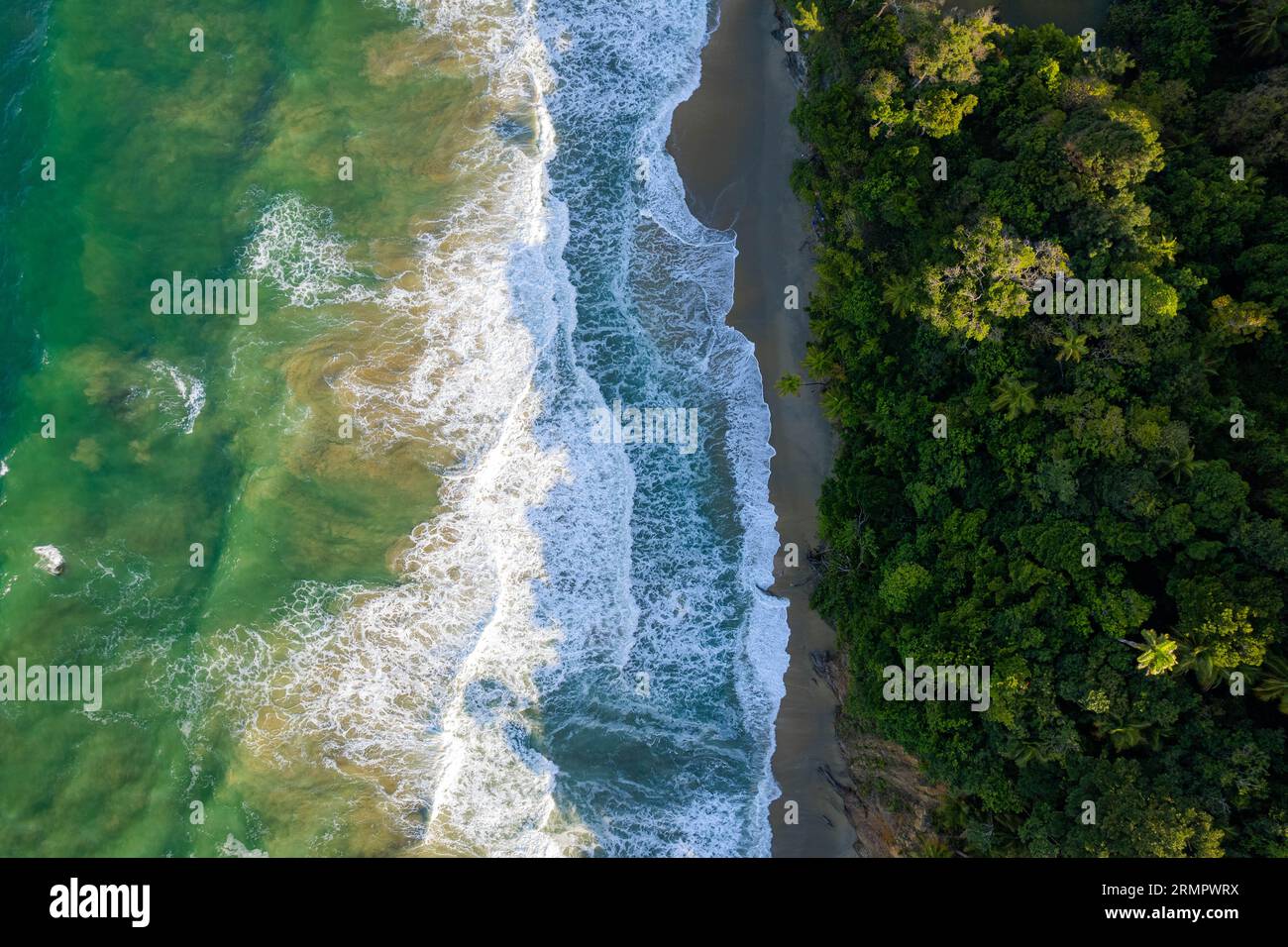 Trinidad north coast hi-res stock photography and images - Alamy