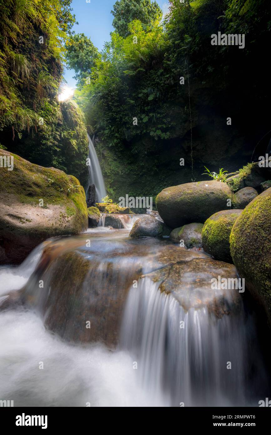 Waterfall dominica caribbean hi-res stock photography and images - Alamy