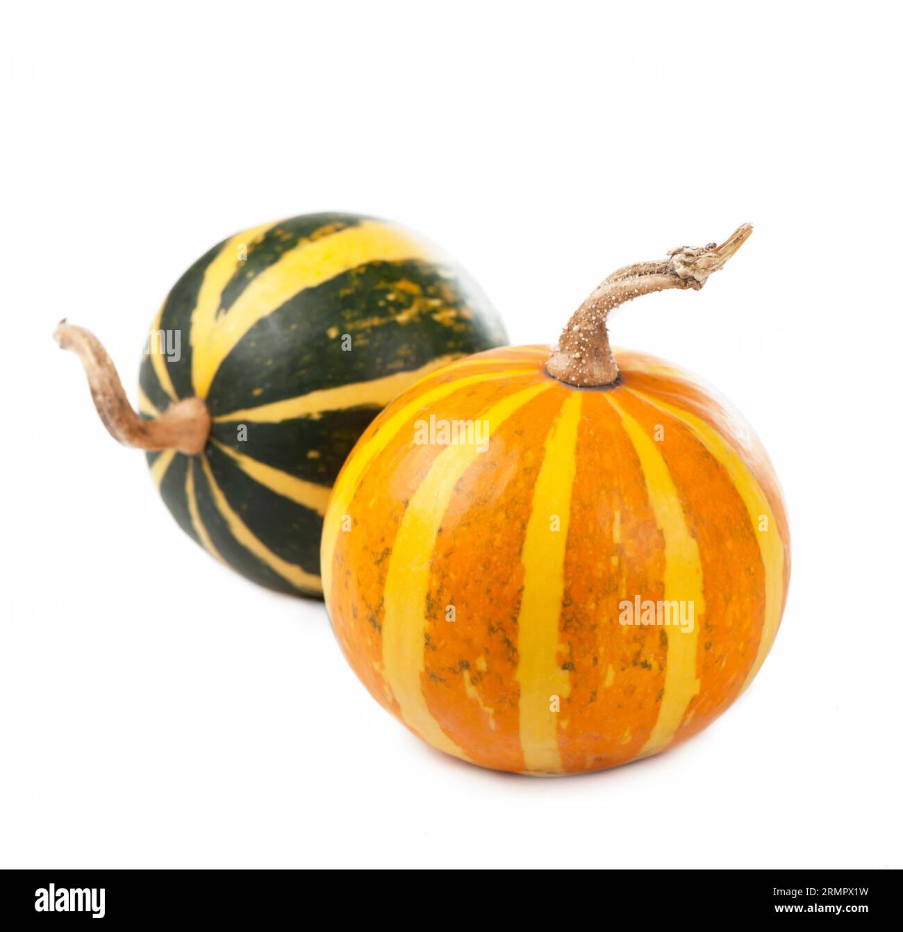 Group of pumpkins isolated on white background Stock Photo - Alamy