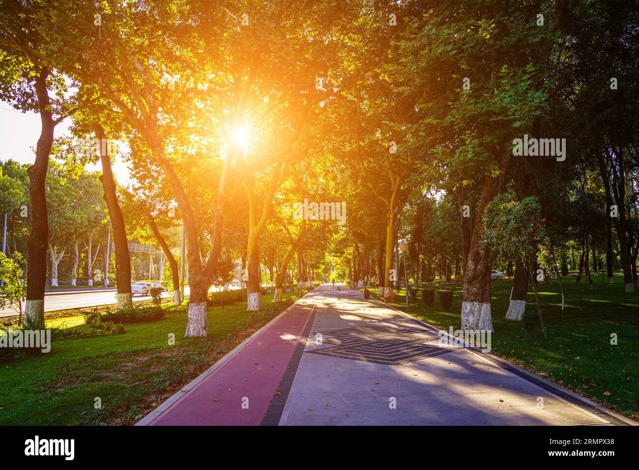 City park in summer or spring with pavement, green lawn and trees on a ...