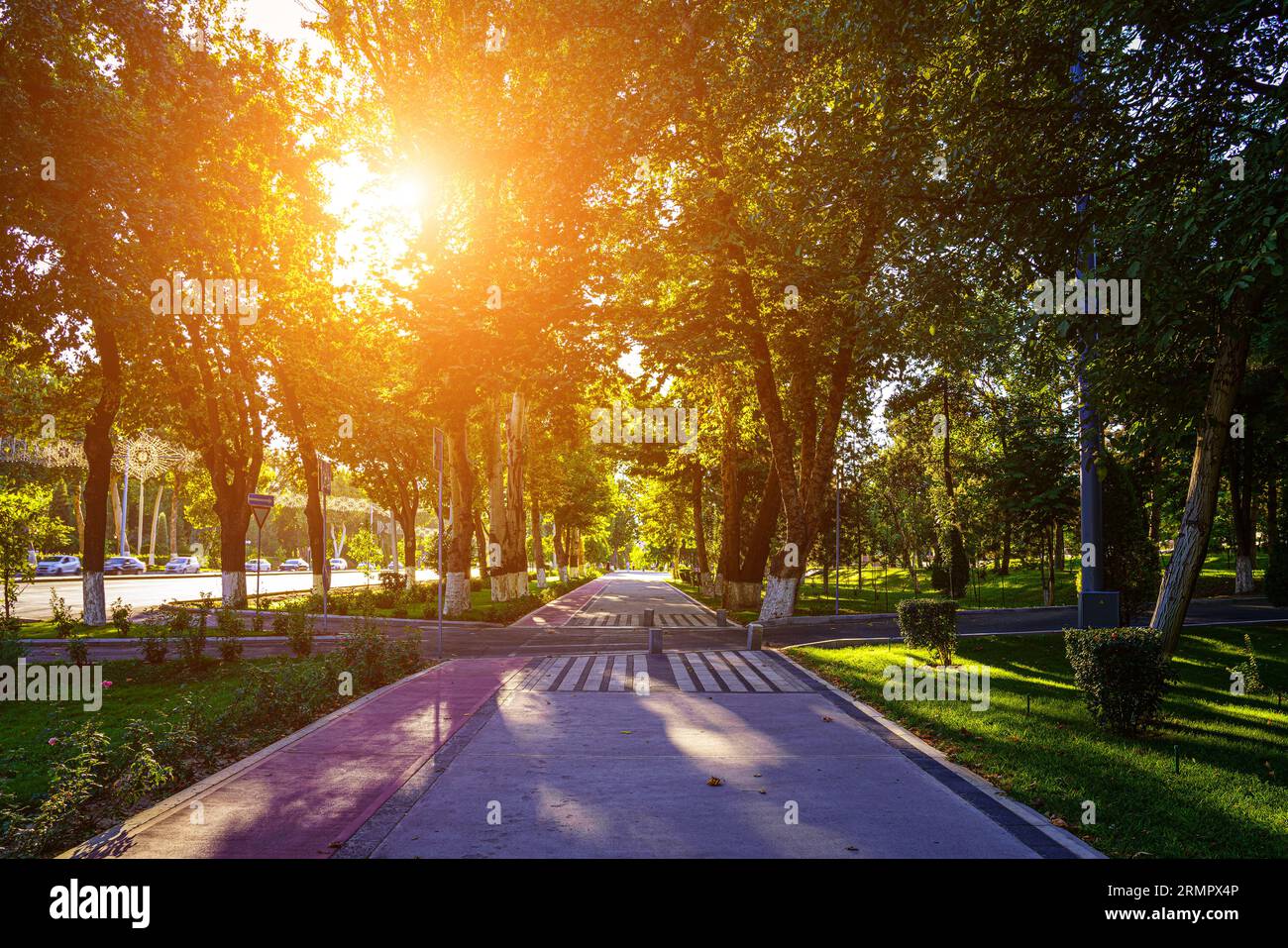 Tile on sidewalk sunset in hi-res stock photography and images - Alamy