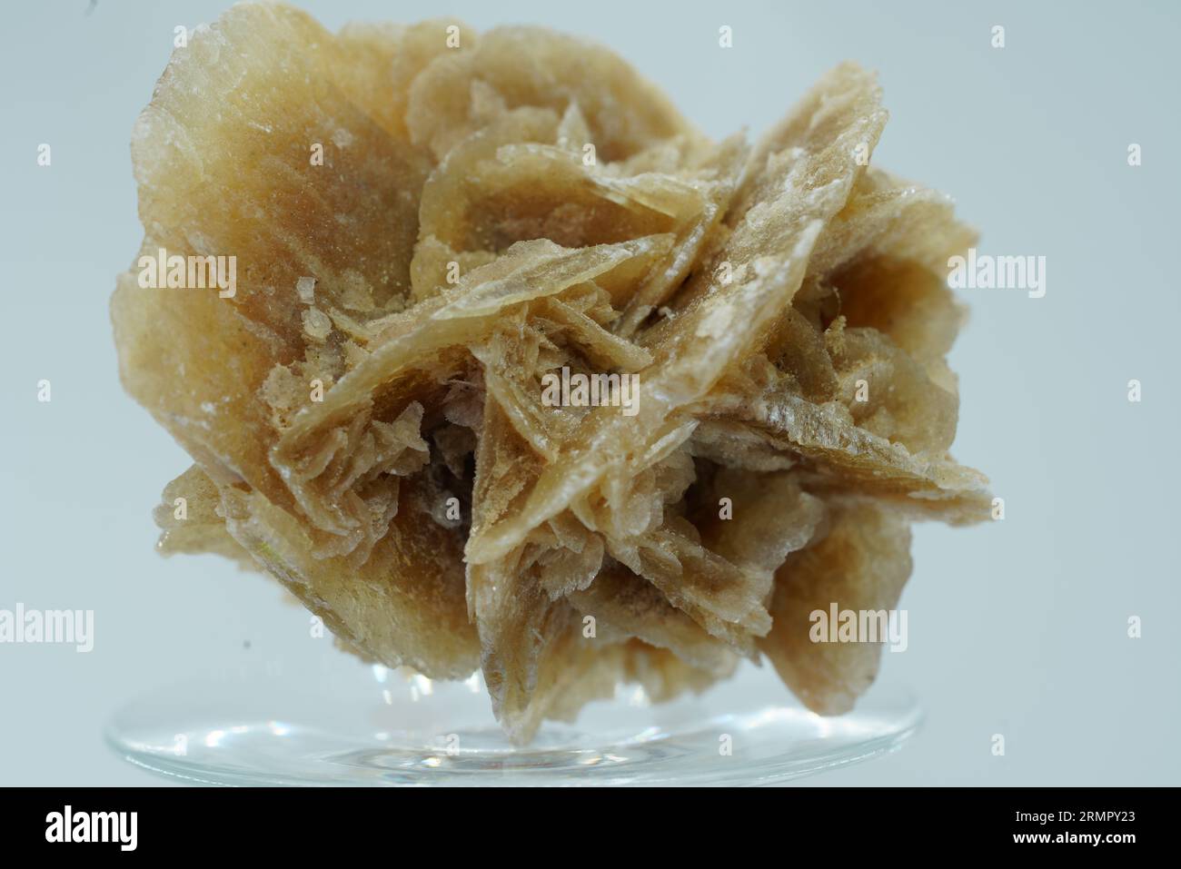 Gypsum rose with a crystal on a cut out background, Crystals resembling ...