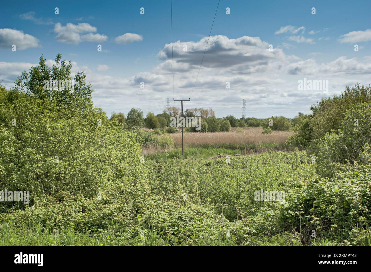 Power lines in a rural setting Stock Photo - Alamy