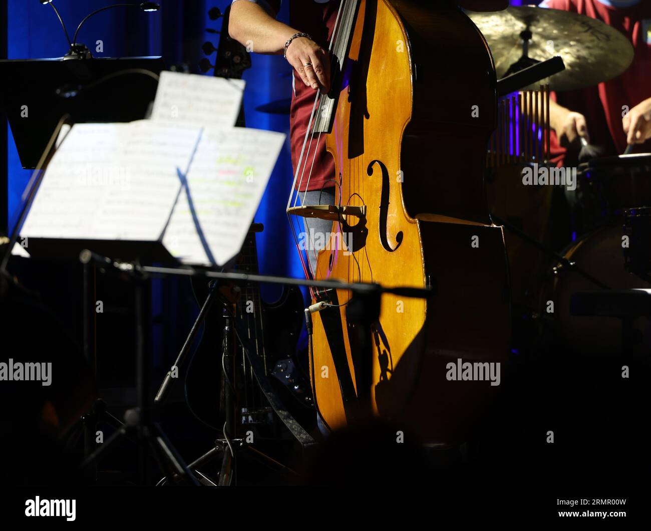 Double bass large string hi-res stock photography and images - Alamy