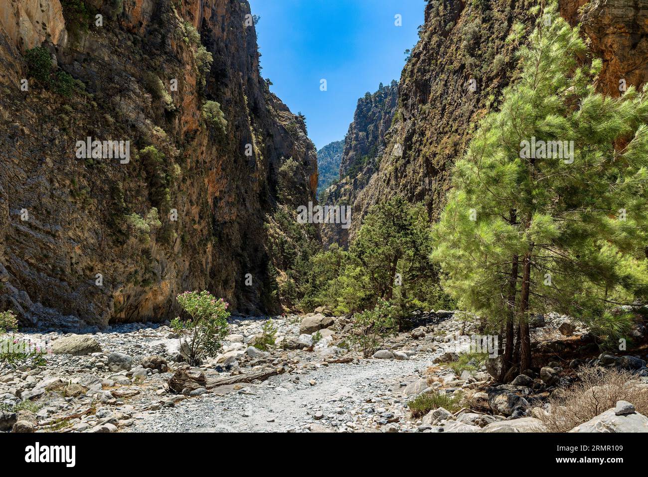 A dry, rocky river bed at the bottom of a deep gorge in the middle of a ...
