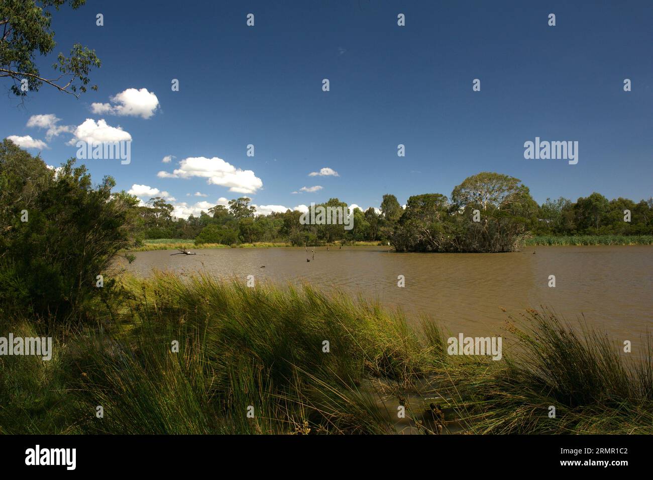 Jells Park lake was built to stop Dandenong Creek flooding Ferntree ...
