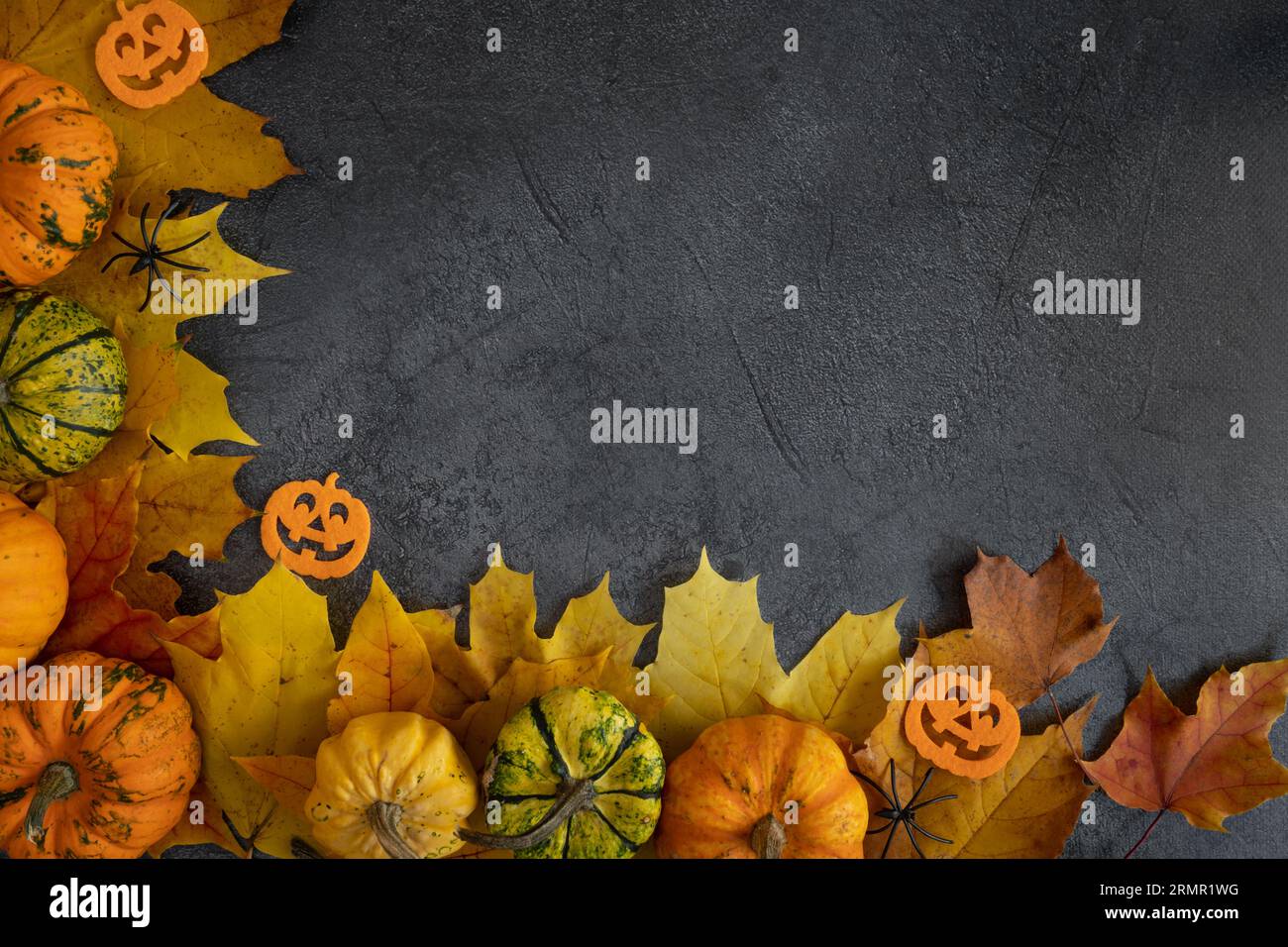 Autumn composition for Halloween. Decorative gourds, pumpkins, squash ...