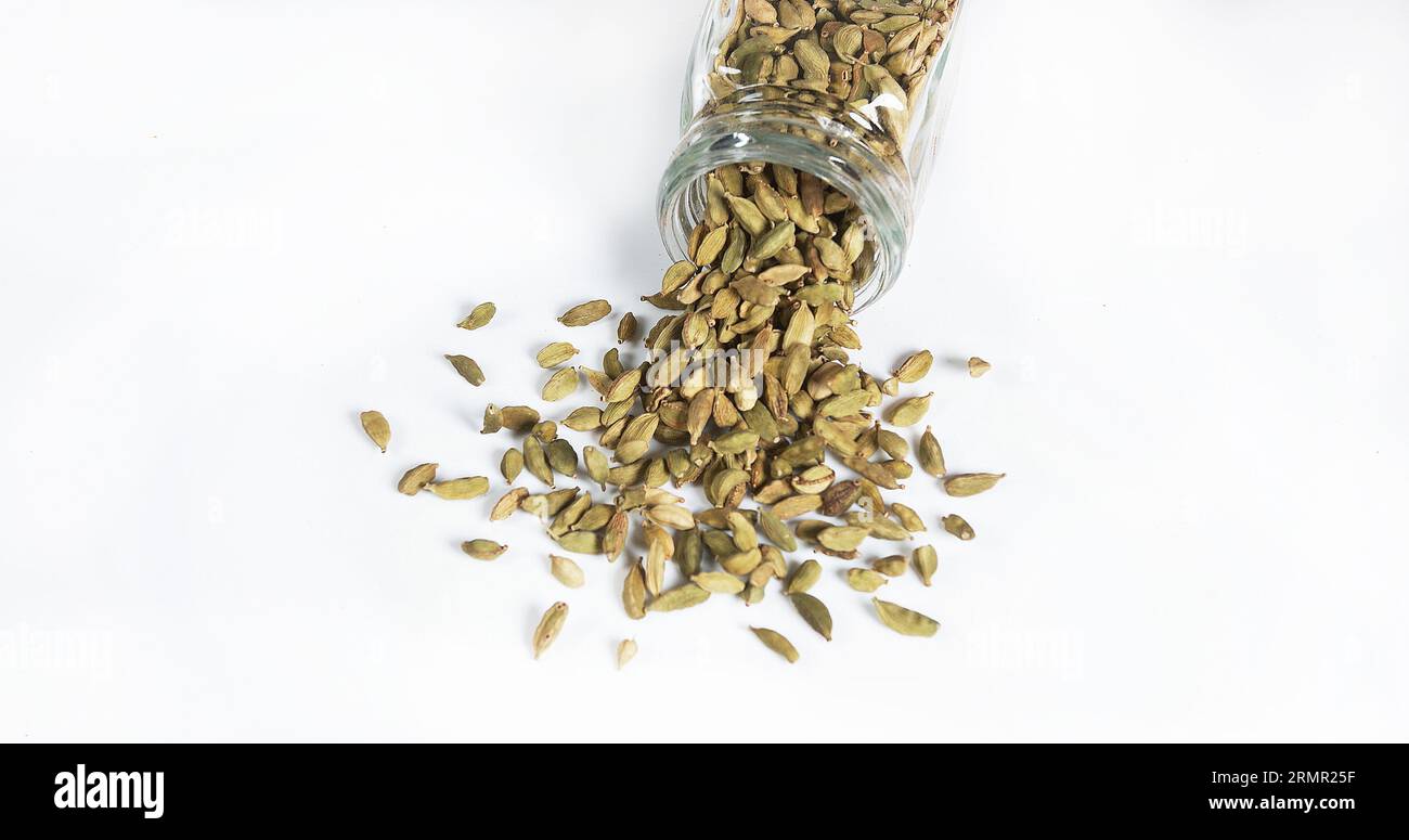 Cardamom, elettaria Cardamomum, spice falling against White Background ...