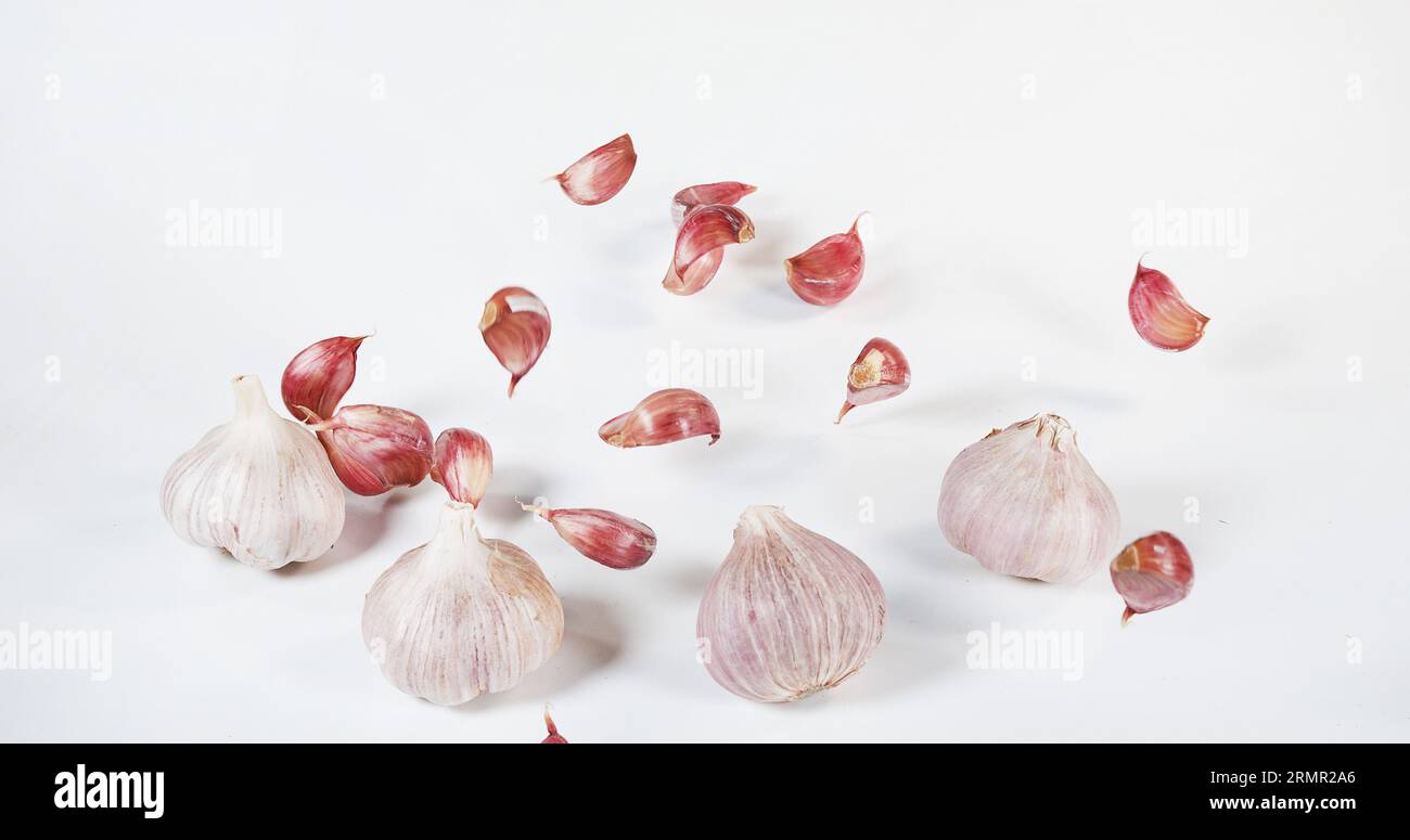 Garlic, allium savitum, Falling against White Background Stock Photo ...