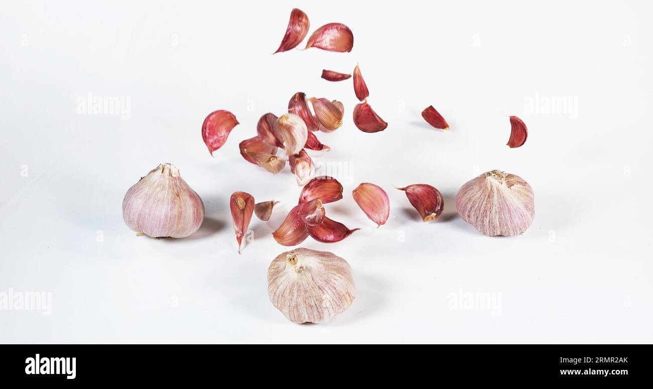 Garlic, allium savitum, Falling against White Background Stock Photo ...