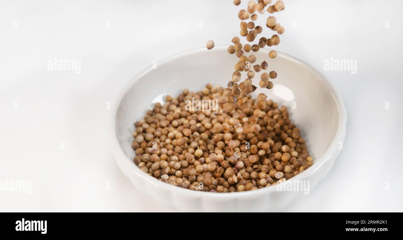 Coriander, coriandrum sativum, seeds falling against White Background Stock Photo - Alamy