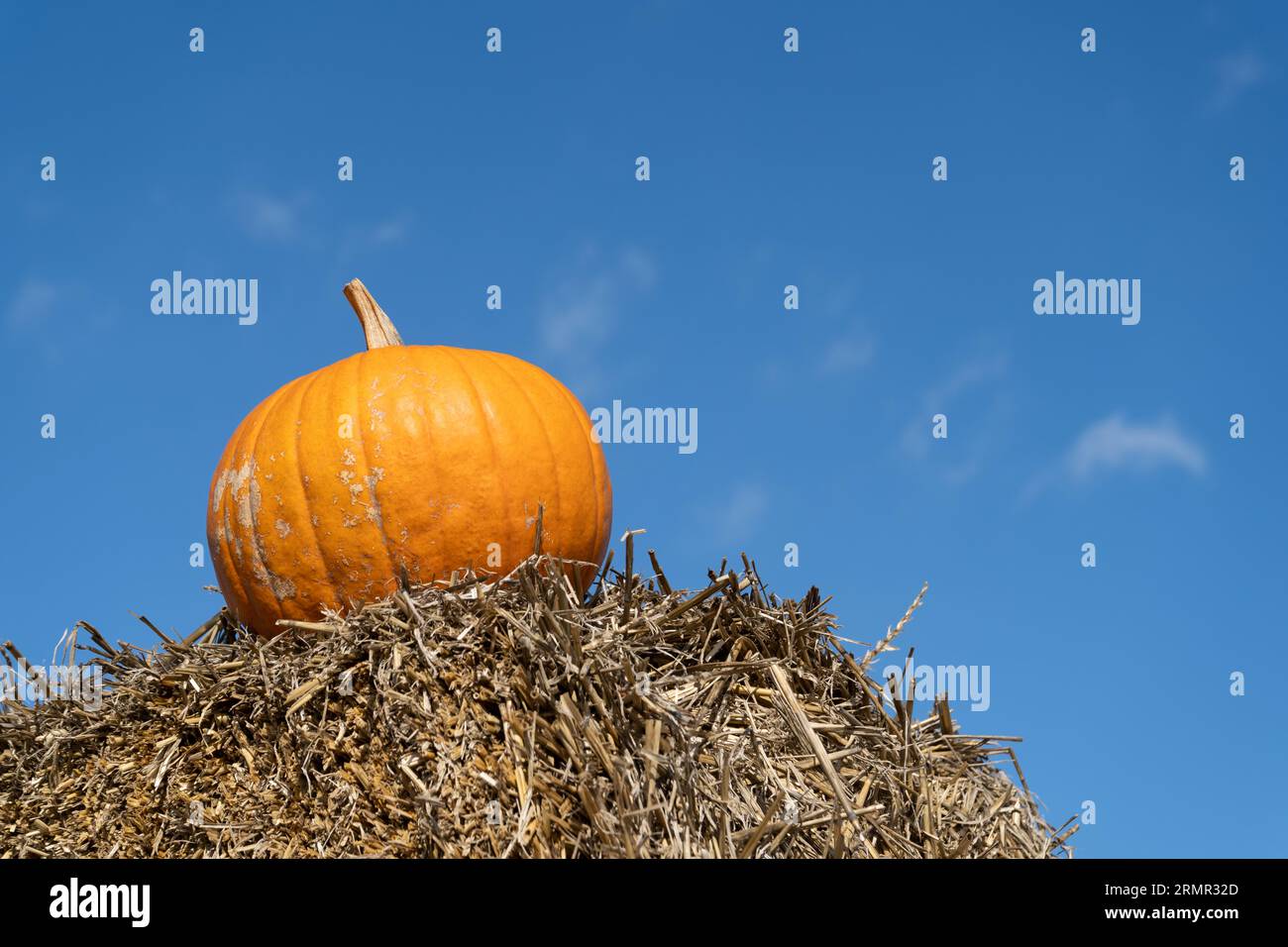 Orange pumpkin on the hay, copy space on blue sky. Autumn fall still ...