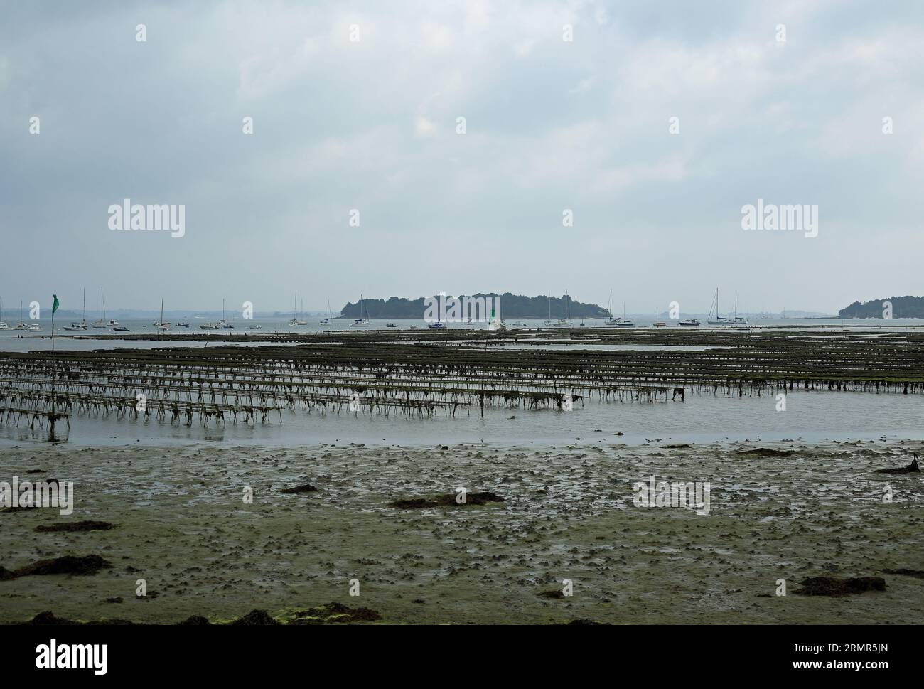 View across Anse du Logeo and oyster beds at low tide from Le Logeo ...