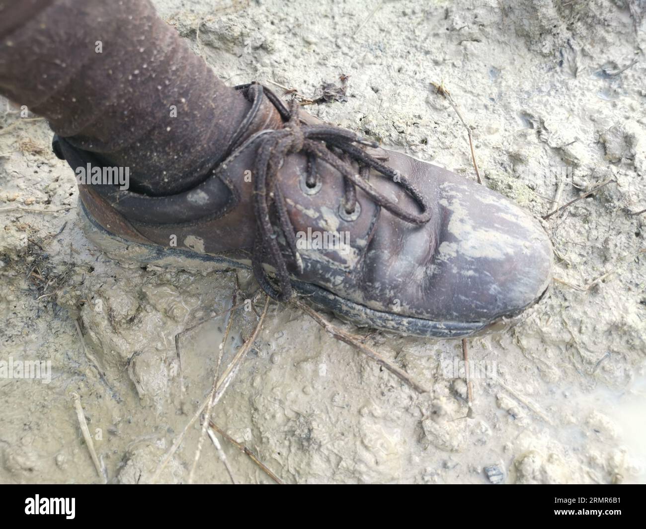 old shoe stick with mud from the swampy ground Stock Photo - Alamy