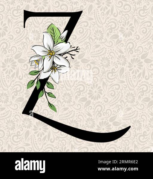 Alphabet Letter Z, Alphabet Letter Design, Alphabet Letter illustration ...