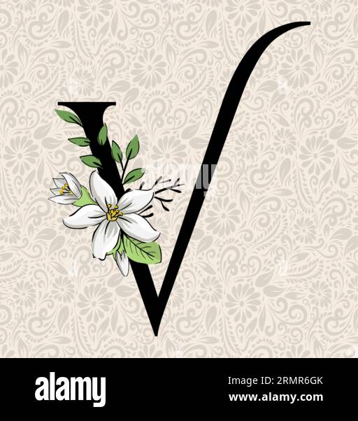 Alphabet Letter V, Alphabet Letter Design, Alphabet Letter illustration ...