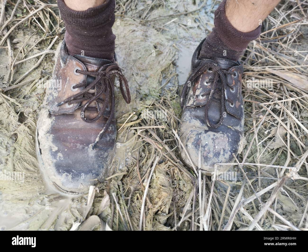 old shoe stick with mud from the swampy ground Stock Photo - Alamy