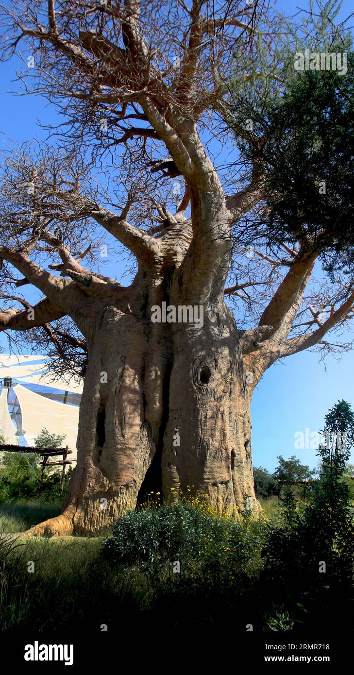Trees, paths and roads in a government-sponsored nature reserve in the ...