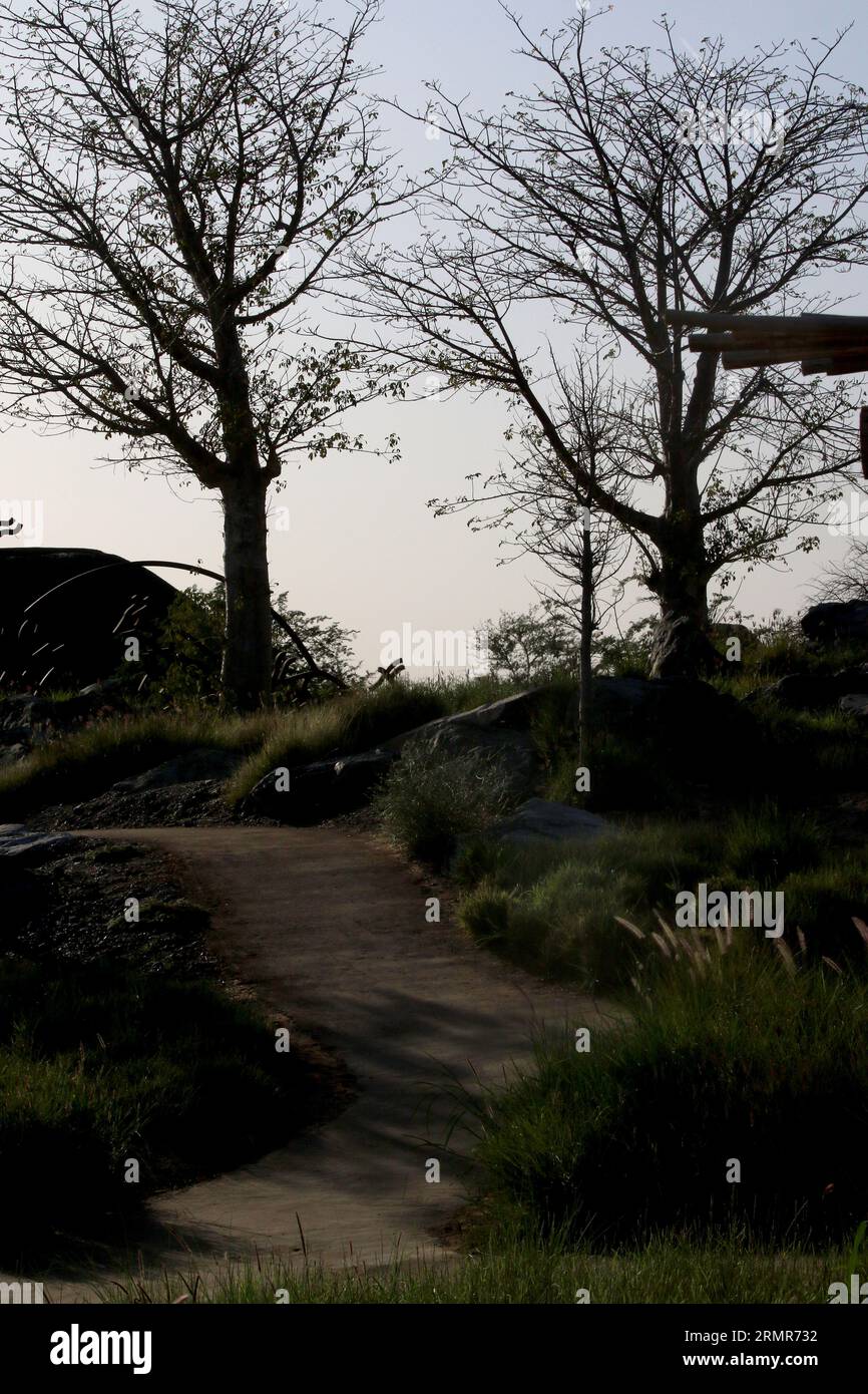 Trees, paths and roads in a government-sponsored nature reserve in the ...