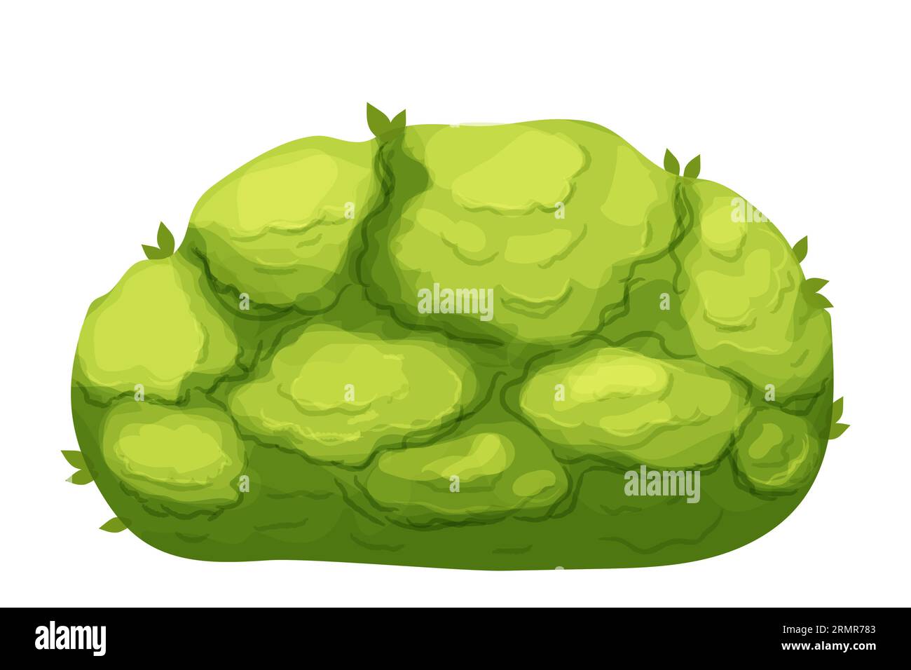 Evergreen hedge plant Stock Vector Images - Alamy