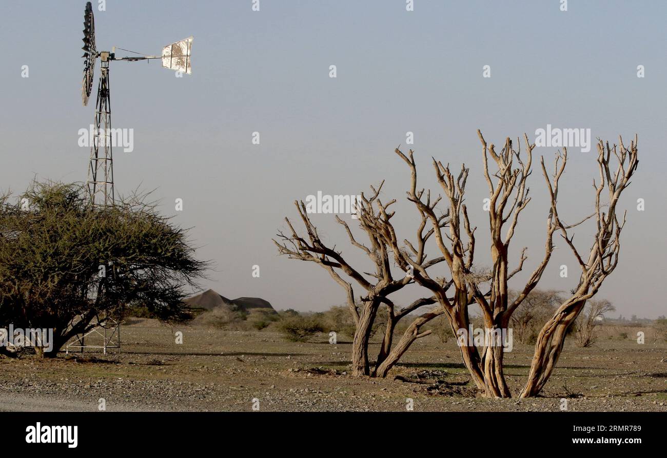 Trees, paths and roads in a government-sponsored nature reserve in the ...