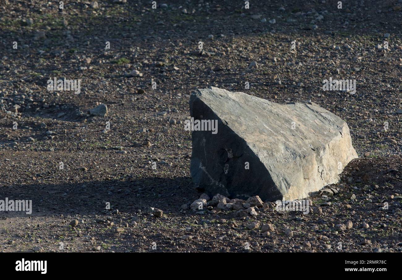 Animals in a government-sponsored nature reserve in the Dubai desert ...