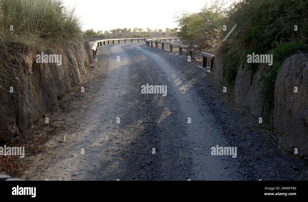 Animals in a government-sponsored nature reserve in the Dubai desert ...