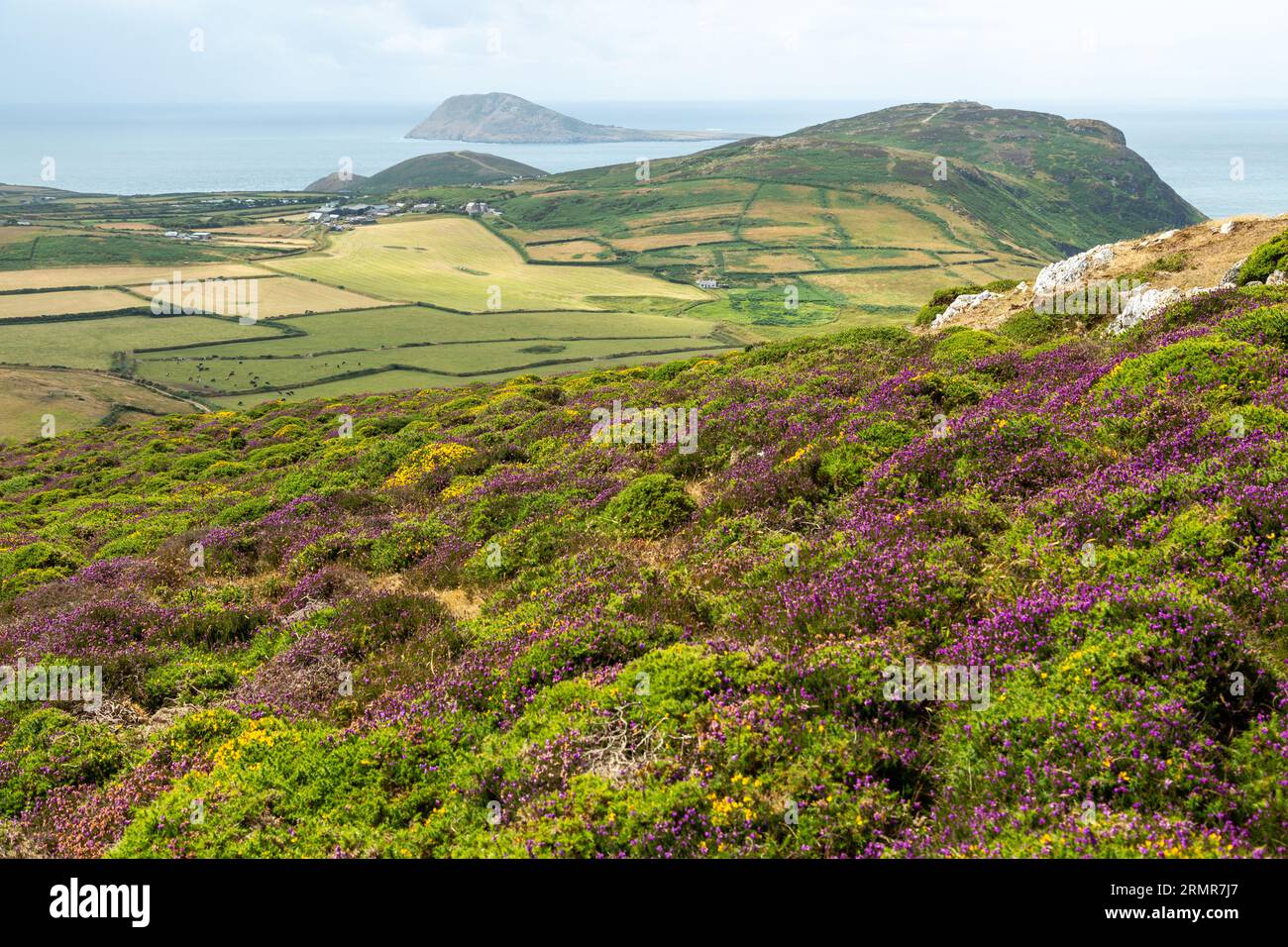 View bardsey island north wales hi-res stock photography and images - Alamy