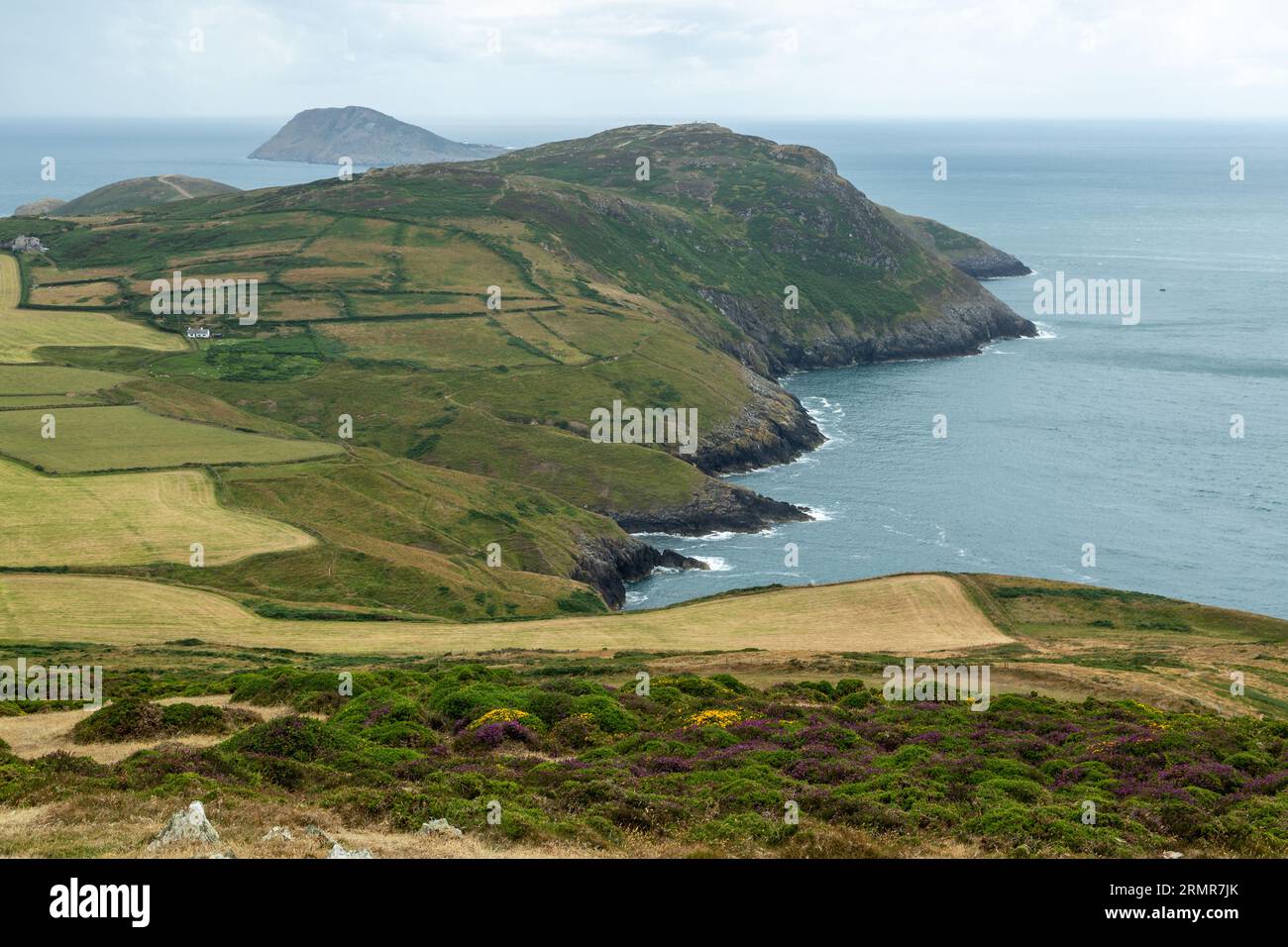 Mynydd anelog hill hi-res stock photography and images - Alamy