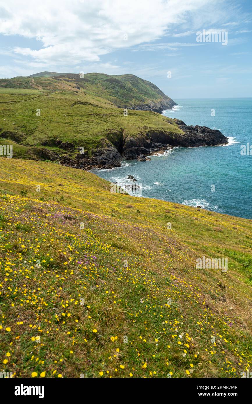 The Wales Coast Path with the hill mynydd mawr on the North coast of ...
