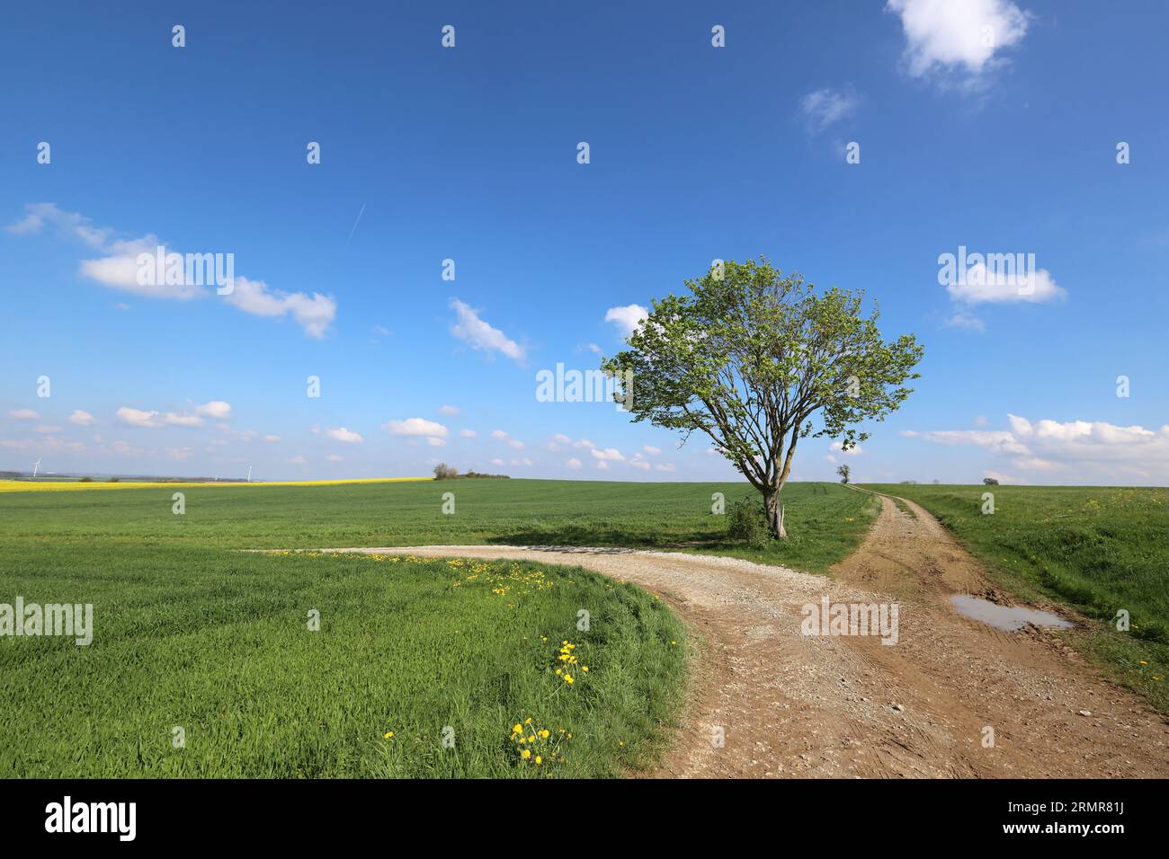 Spring landscape on a clear day Stock Photo - Alamy