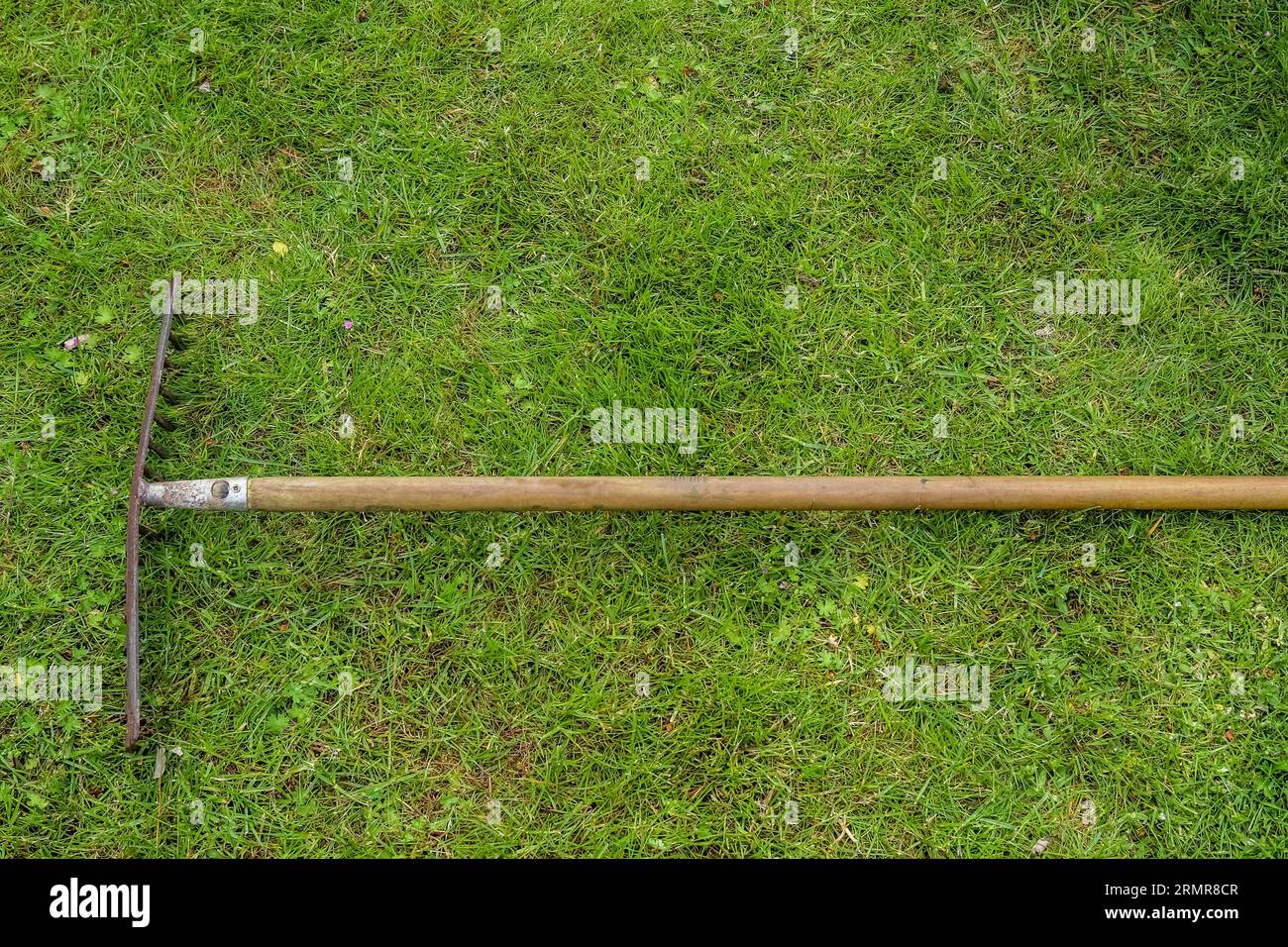 Gardening Equipment On Grass With Empty Space Stock Photo - Alamy