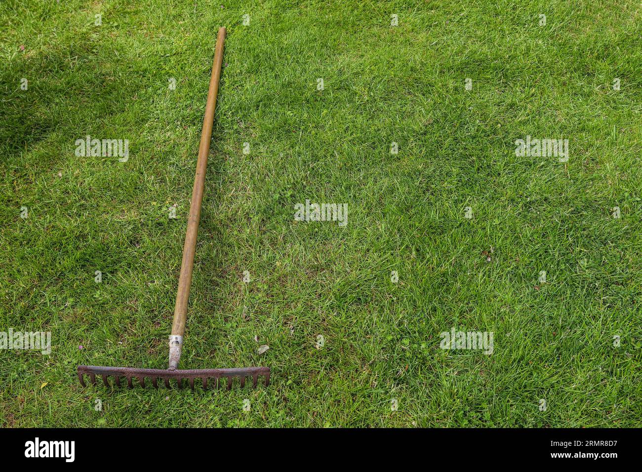 Gardening Equipment On Grass With Empty Space Stock Photo - Alamy