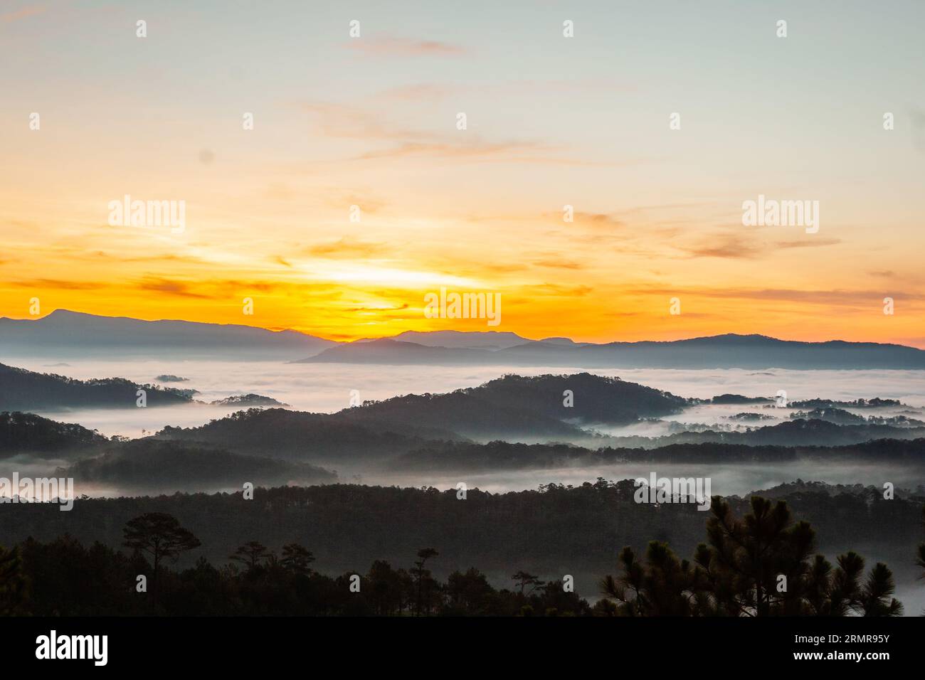 Da Lat landscape, Da Lat landscape, Vietnamese landscape, morning, Da ...