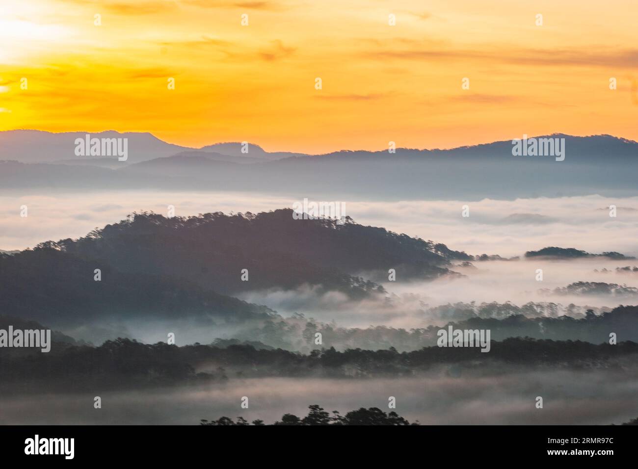 Da Lat landscape, Da Lat landscape, Vietnamese landscape, morning, Da ...