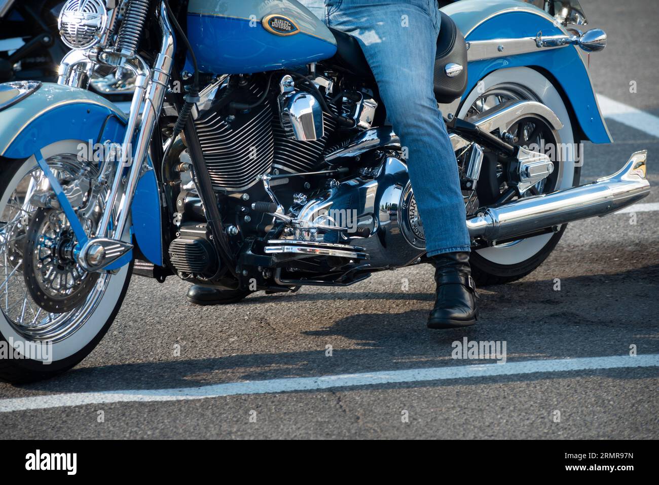 Harley Davidson Springer Softail Driver With His Motor Bike Stock Photo ...