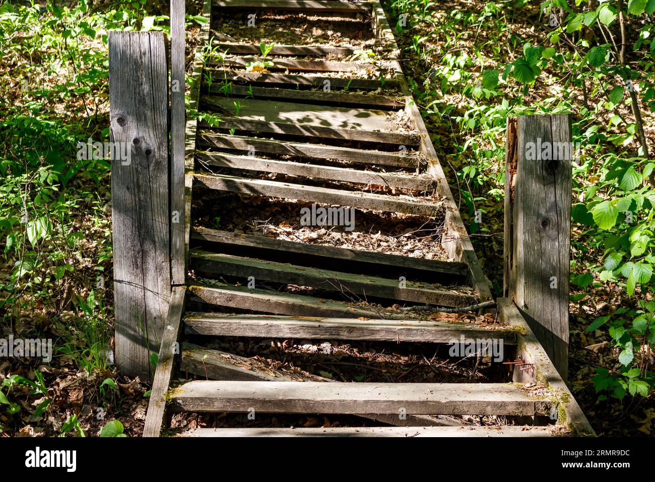 Old broken wooden stairs on a slope in the park Stock Photo - Alamy