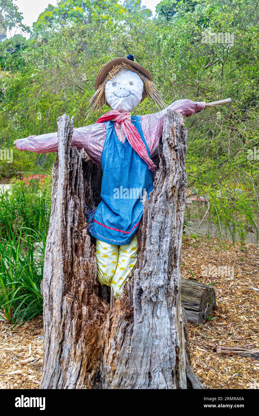 Scarecrow sat in an old tree stump at the Royal Botanical Gardens in ...