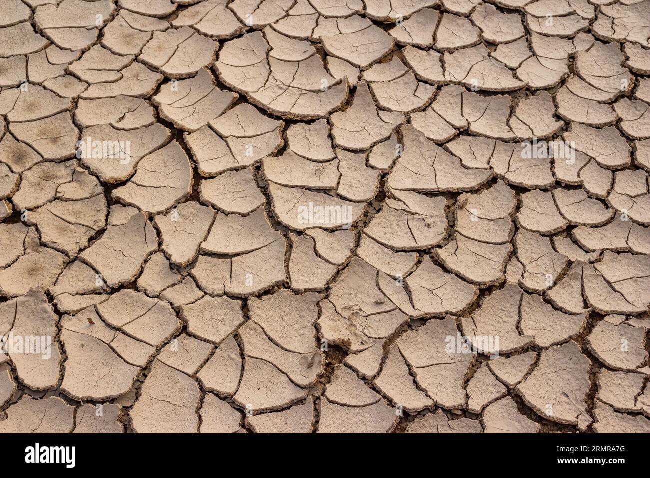 Sun-dried and cracked mud after puddle drying Stock Photo - Alamy