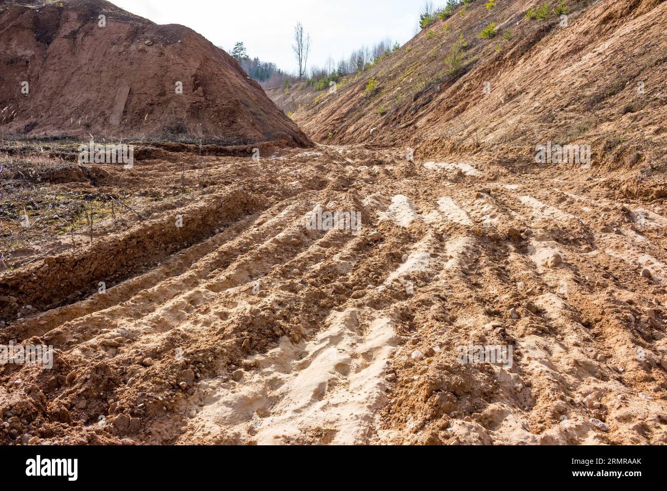 Sandy landscape at an old sand pit Stock Photo - Alamy